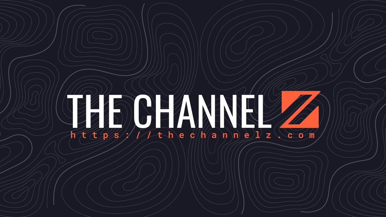 The Channel Z - B2B Lead Generation Agency
